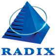 Radixweb Portfolio & Reviews | Techimply India